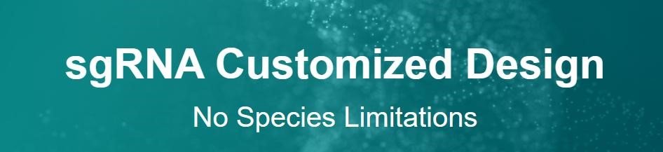 Synbio Technologies: Precision Cas9 sgRNA Design for Advanced Genome ...